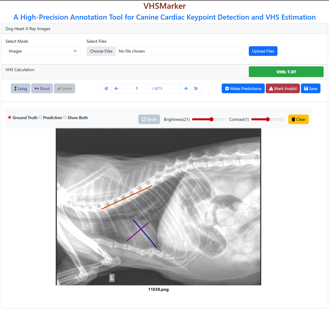 VHSMarker and the CCK Dataset: A Benchmark for Automated Vertebral ...