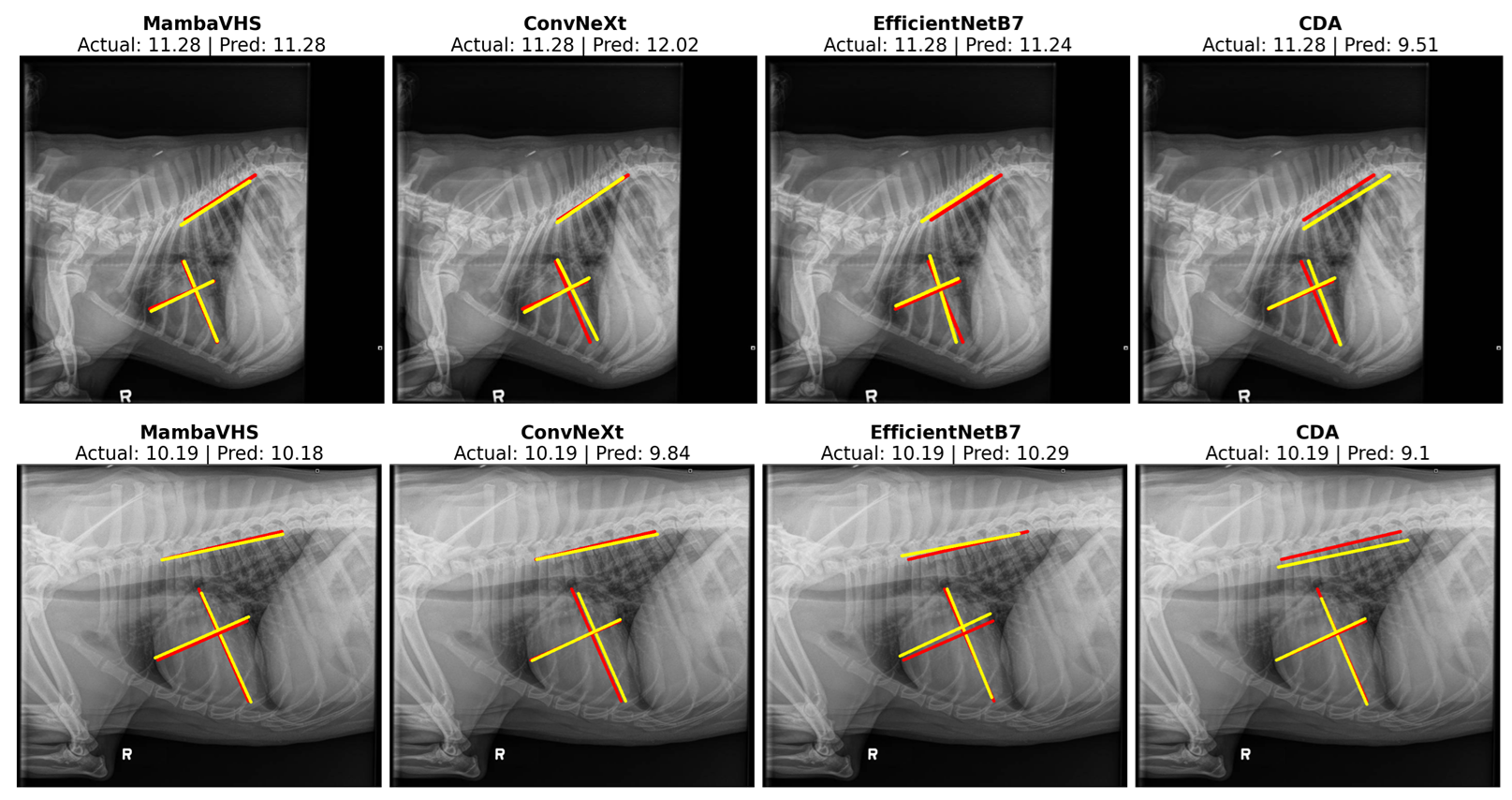 VHSMarker and the CCK Dataset: A Benchmark for Automated Vertebral ...